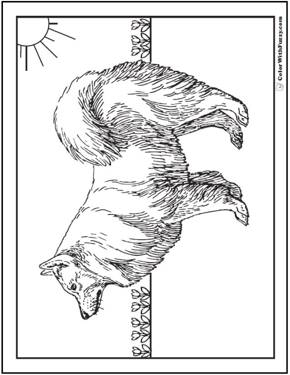 35+ Dog Coloring Pages Breeds, Bones, And Dog Houses