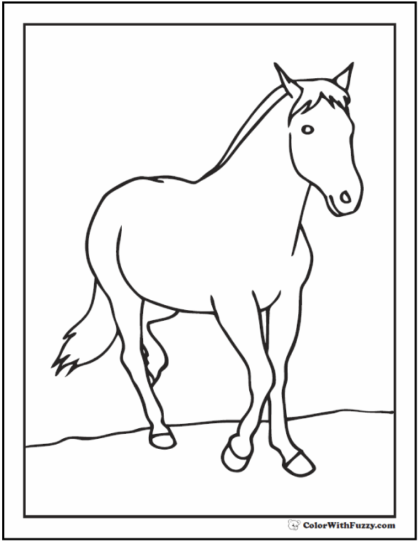 Horse Coloring Page: Riding, Showing, Galloping